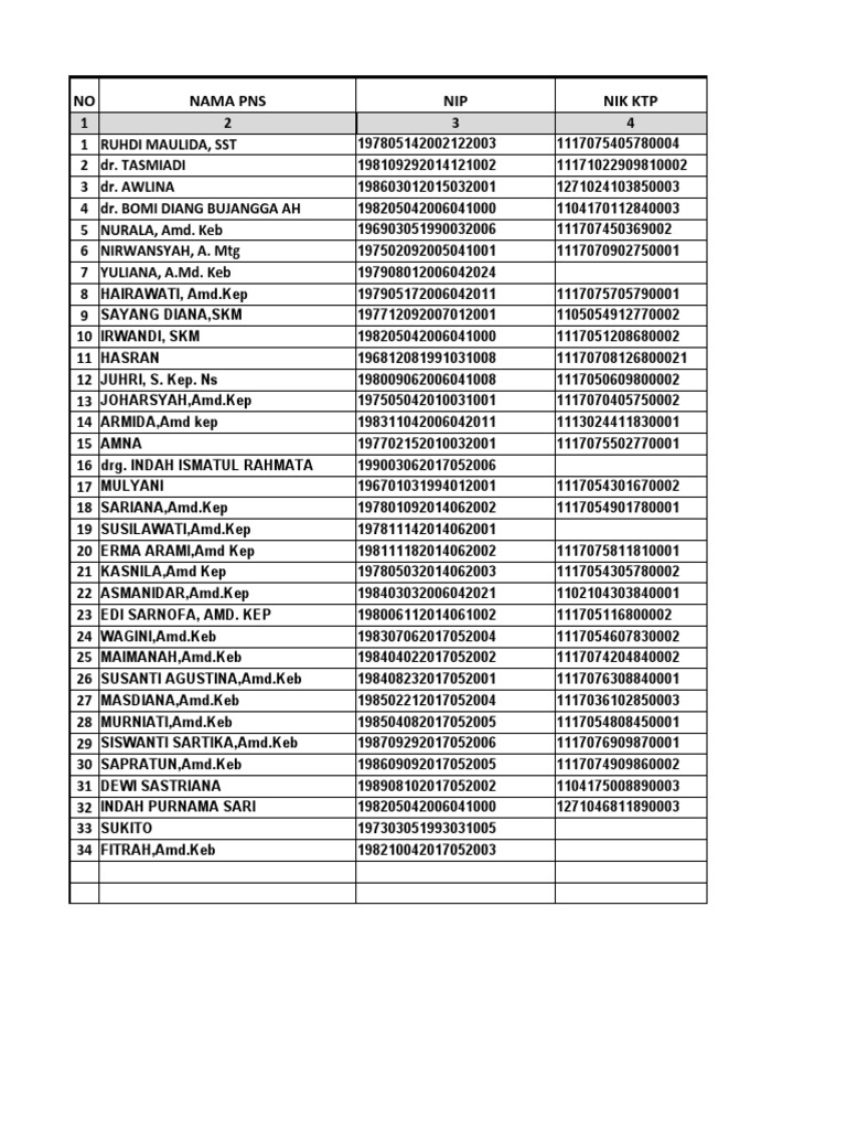 Revisi Format Data Excel Pns Untuk Aplikasi Gaji Sipd 2021 | PDF