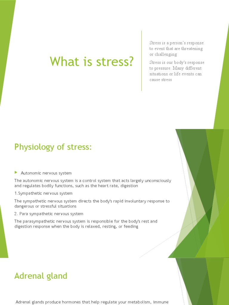 Understanding Stress: Types and Management | PDF