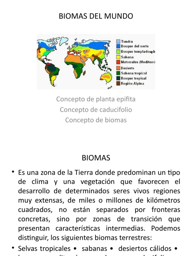 Biomas Del Mundo | Descargar gratis PDF | Selva | Zona tropical