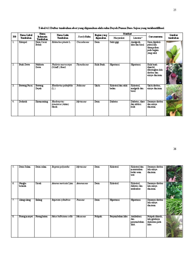 BAB IV Hasil Tabel 1-2 INVENTARISASI TUMBUHAN | PDF