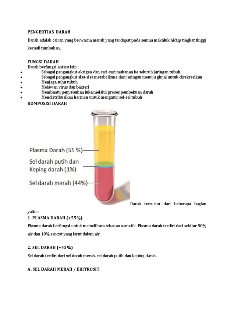 Darah: Fungsi dan Komponen | PDF