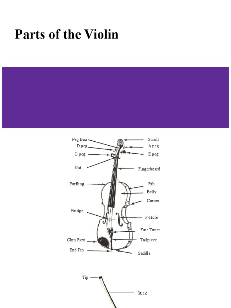 Parts of The Intrument | PDF