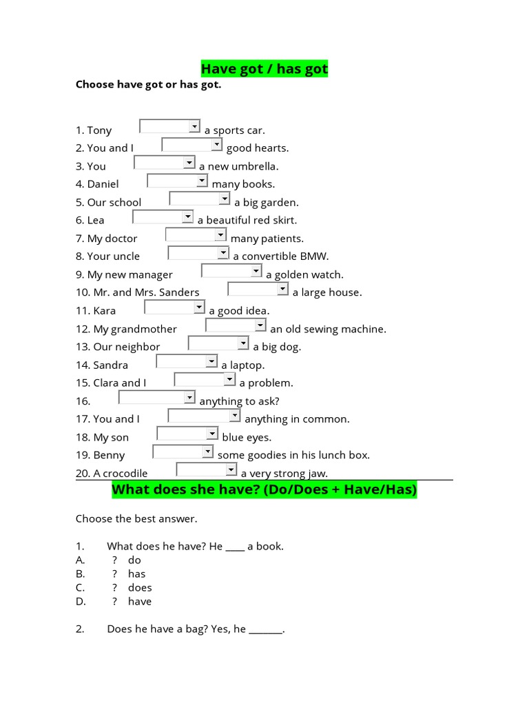 Have Vs Have Got | PDF
