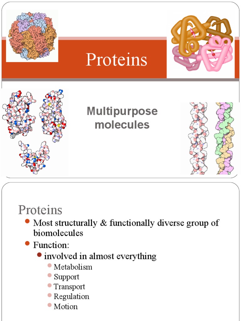 Understanding Protein Structure and Function | PDF | Protein Folding ...