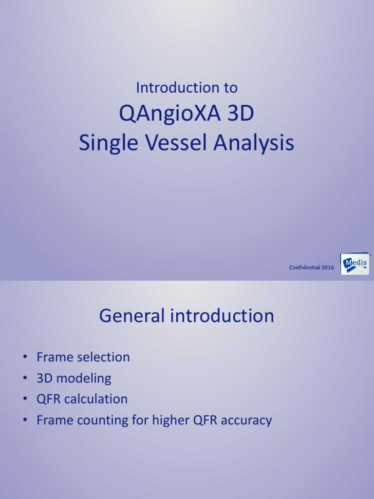 QFR Guide | PDF | Angiography | Heart
