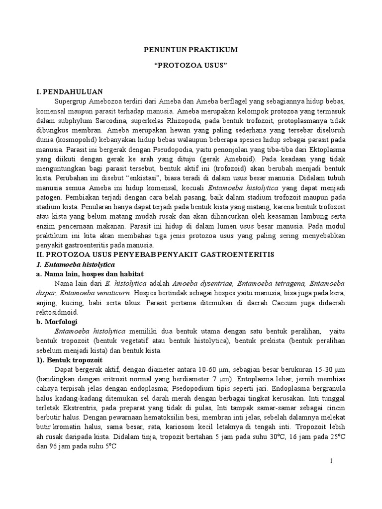 Morfologi dan Pemeriksaan Protozoa Usus | PDF