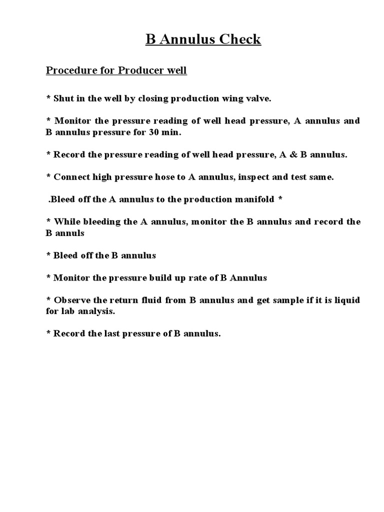 Annulus B Check | PDF