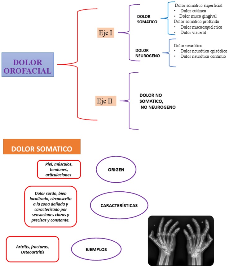 Dolor Orofacial - Somatico | PDF