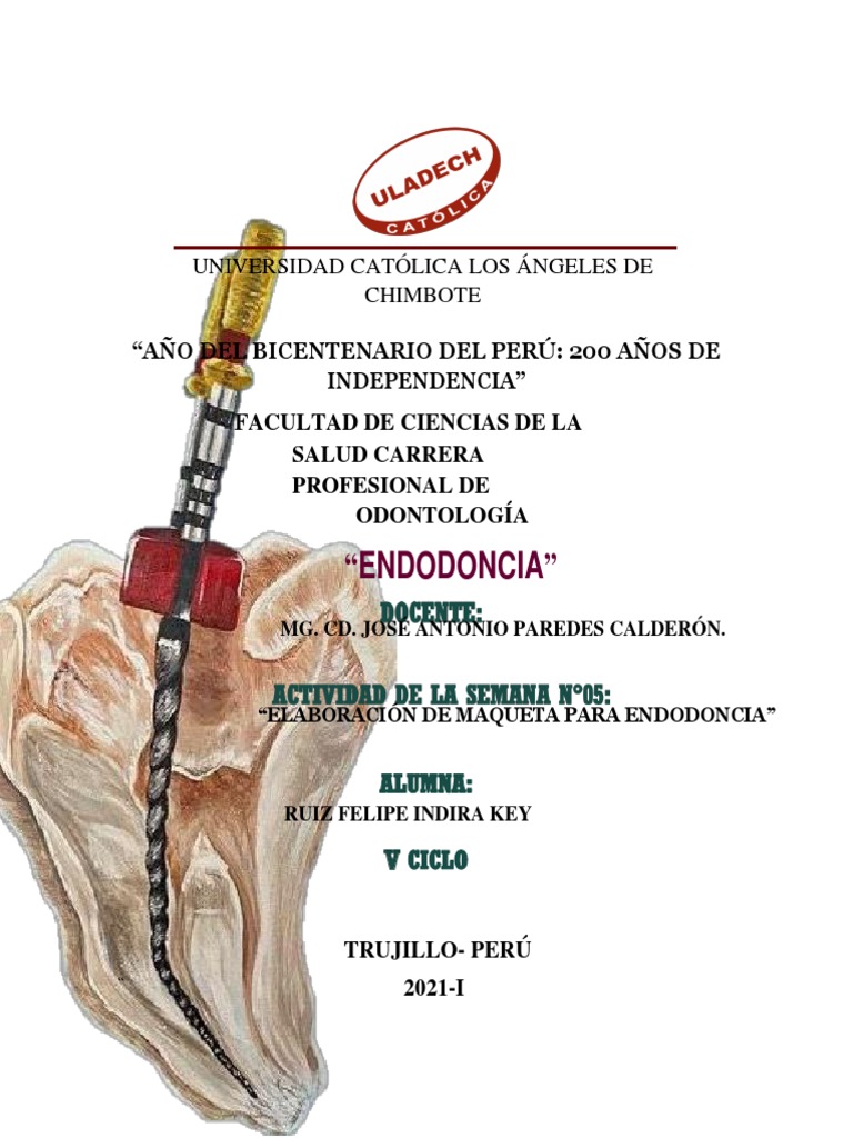 Histologia Pulpar | PDF | Boca | Anatomía