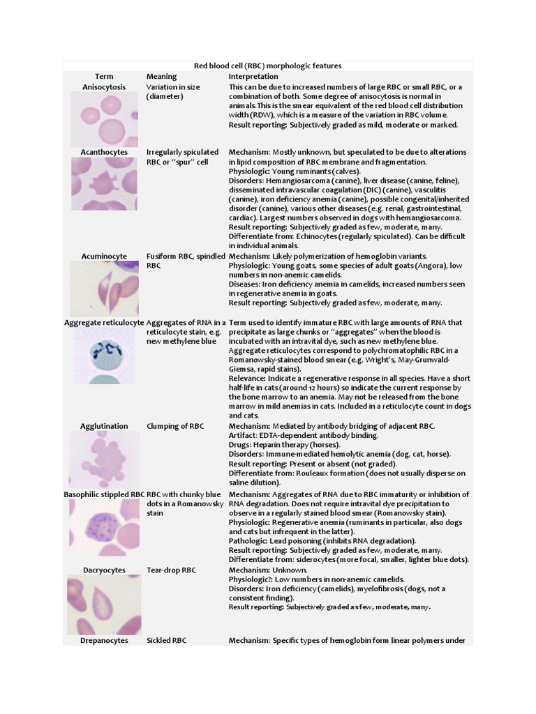 Result Reporting: Subjectively Graded As Few, Moderate, Many | PDF ...