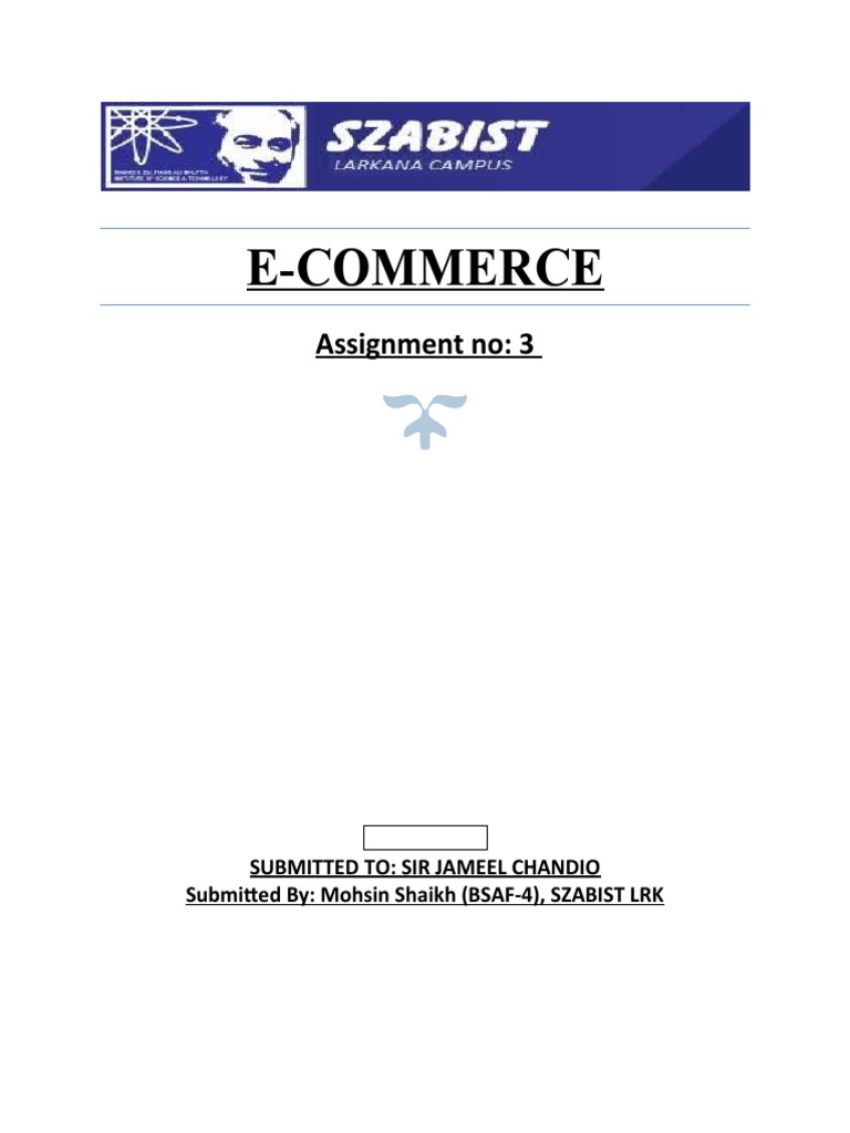 E-Commerce Assignment#3... | Download Free PDF | E Commerce | Supply ...