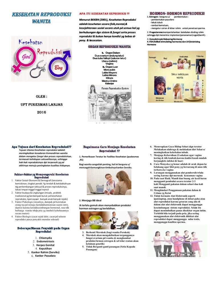 Leaflet Kesehatan Reproduksi Wanita | PDF