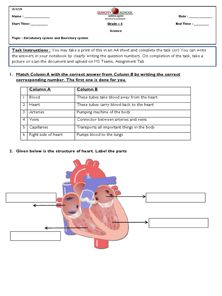 Name: - Date: - Start Time: - Grade - 4 End Time: - Science Topic ...