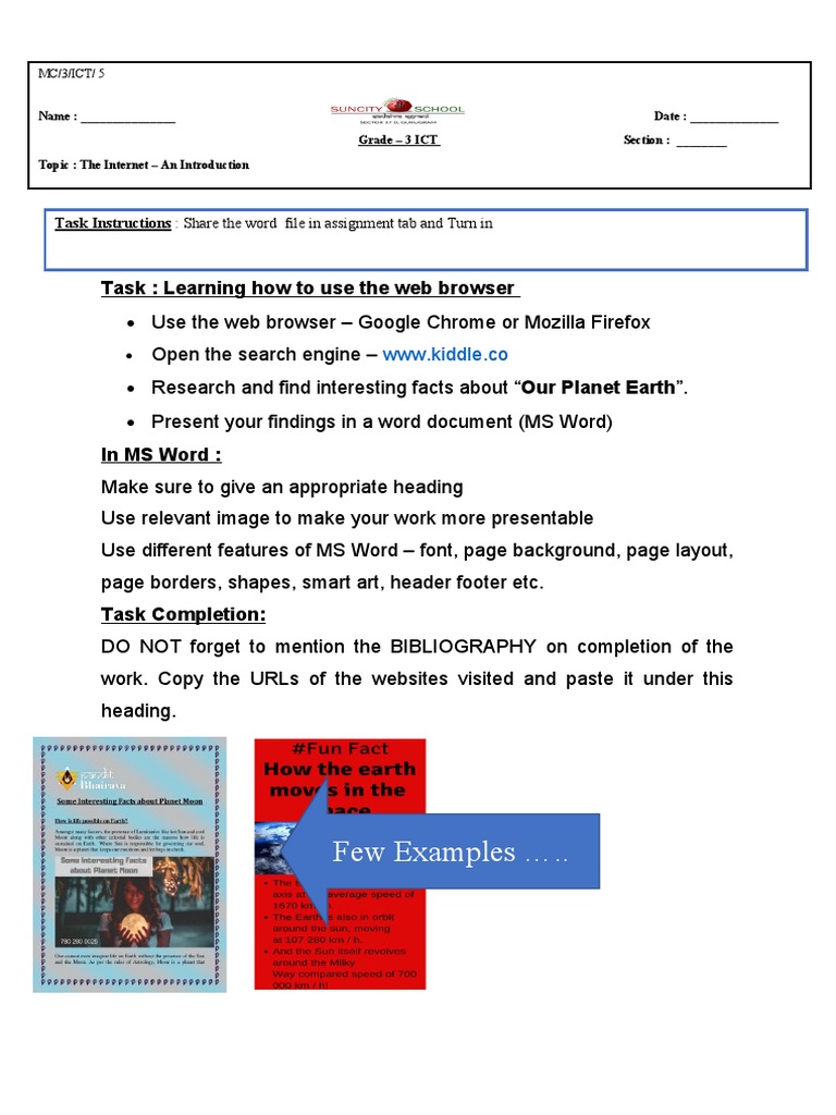 Intro to Internet for Grade 3 | PDF