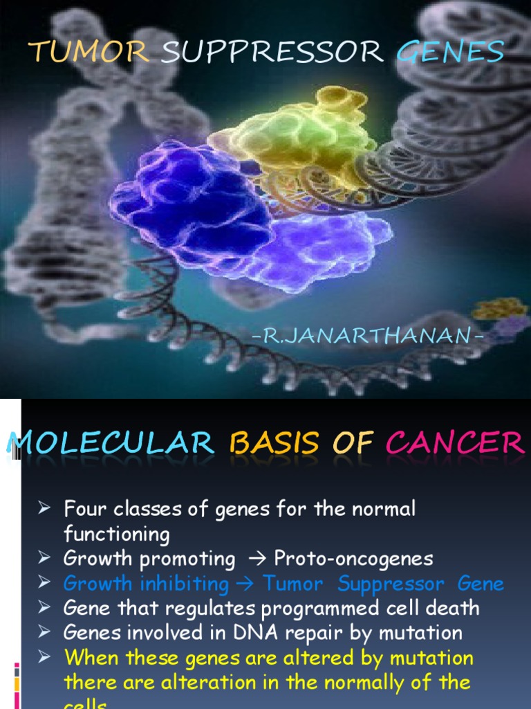 A Comprehensive Overview of Tumor Suppressor Genes: Their Classes ...