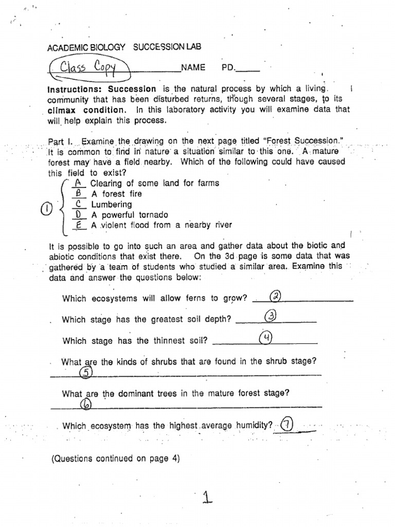 Lab - Ecological Succession | PDF