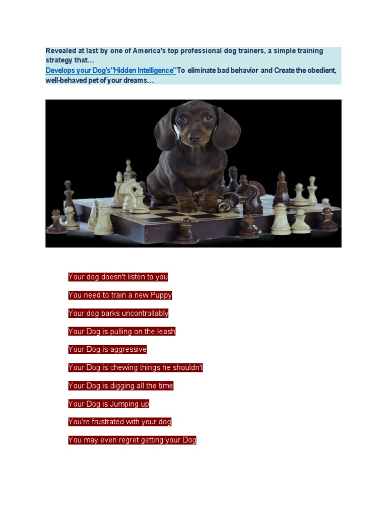 Develops Your Dog's"Hidden Intelligence" | PDF