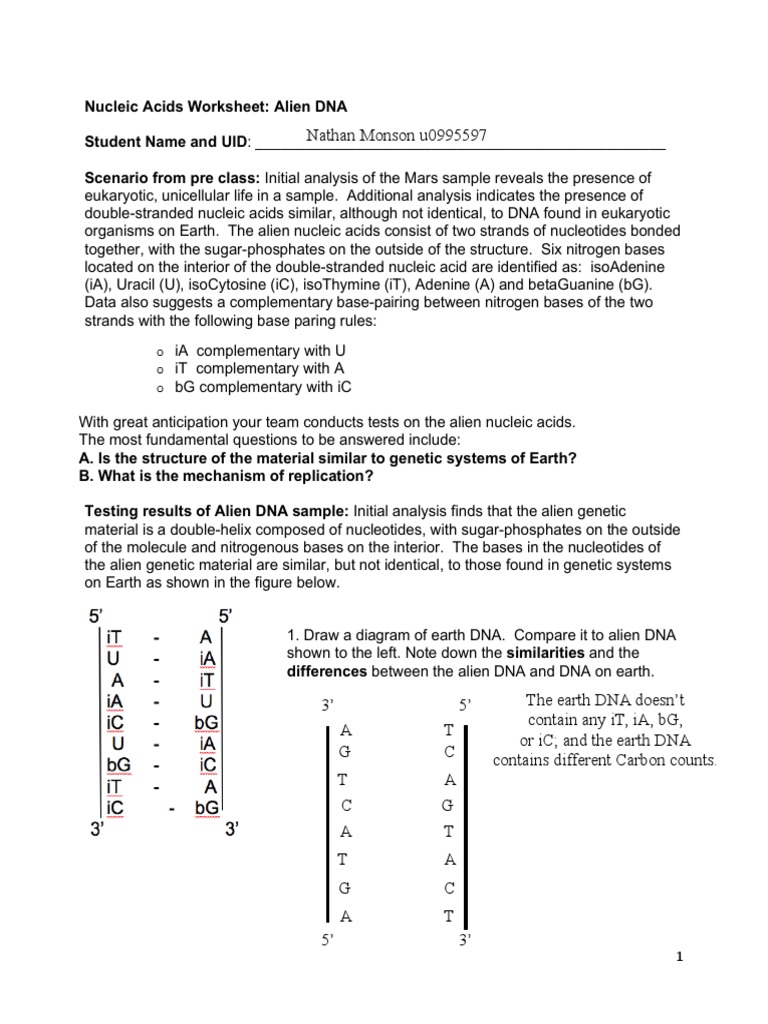 Nucleic Acid Worksheet Nucleic Acid | PDF | Nucleic Acids