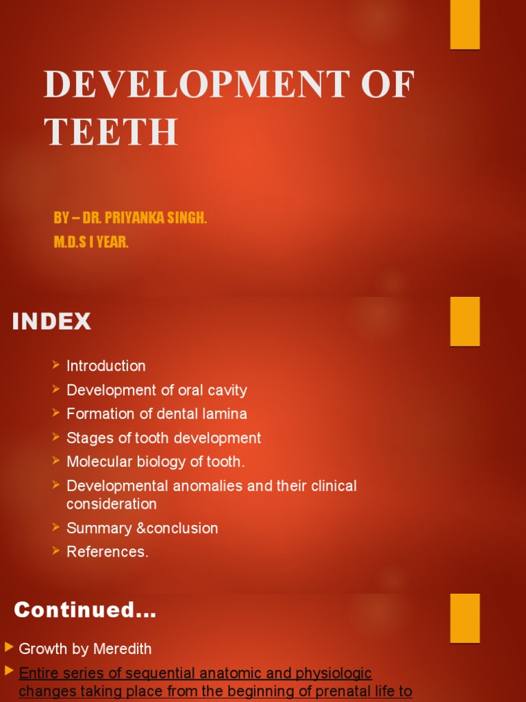 Development of Teeth: by - Dr. Priyanka Singh. M.D.S I Year | PDF ...