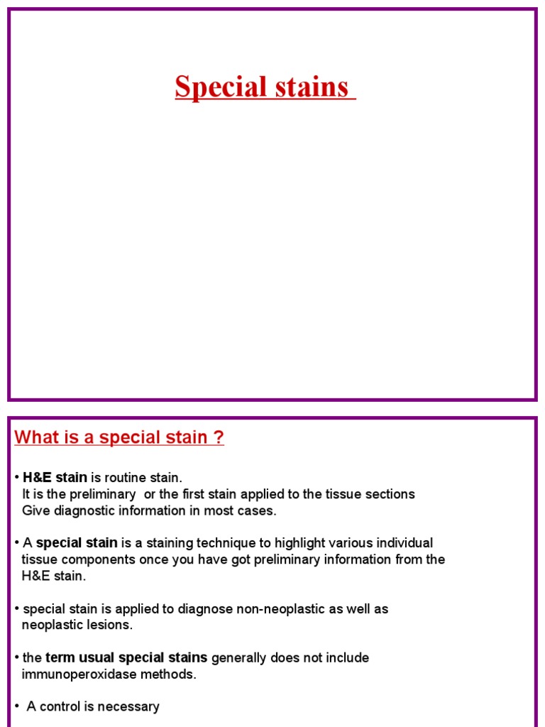 Special Stain | PDF | Staining | Amyloid