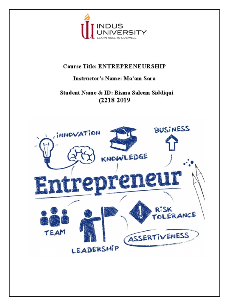 Bisma Saleem Siddiqui (Enterpreneurship | PDF | Entrepreneurship ...