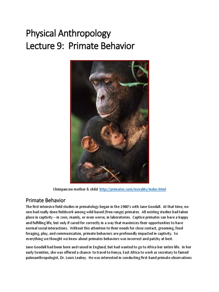ANT1 2021 OL Lecture 9 Primate Behavior | PDF | Behavioural Sciences ...
