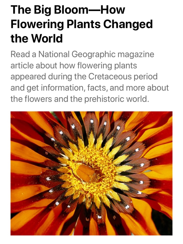 Flowering Plants Article, Flowers Information, Facts - National ...