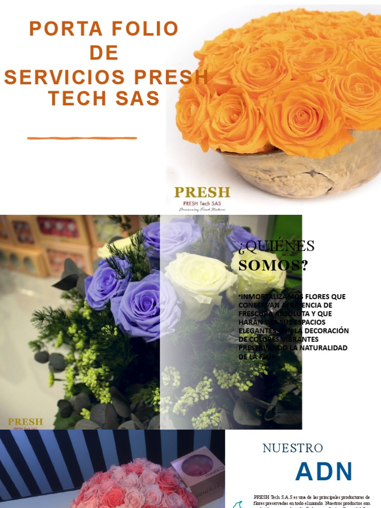 Portafolio de Servicio de Presh Tech Sas | PDF | Plantas | Economias