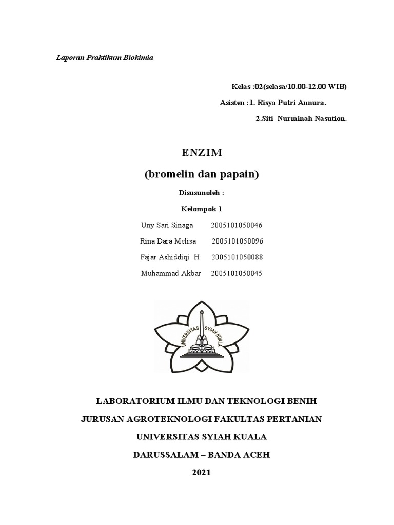 Laporan Enzim | PDF