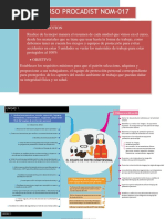 Nom 017 STPS 2008 | PDF