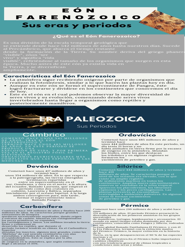 Características del Eón Fanerozoico | PDF | Geología | Ciencias de la ...