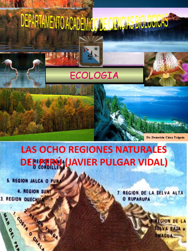 Las Ocho Regiones Naturales Del Perú (Javier | PDF | Science | Geografía