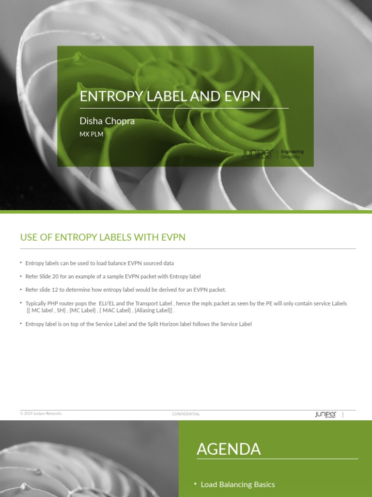 Entropy Label With EVPN Deep-Dive Technical Presentation | PDF ...