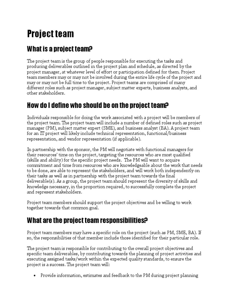 What Is Project Team | PDF | Expert | Cognition