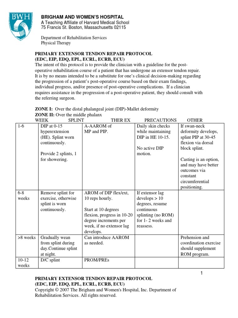 Hand - Extensor Tendon Repair Protocol PT (All) | PDF | Thumb | Hand