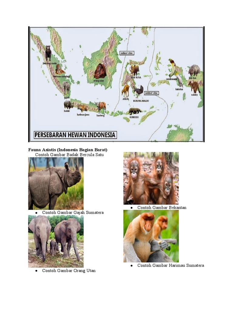 Fauna Asiatis | PDF