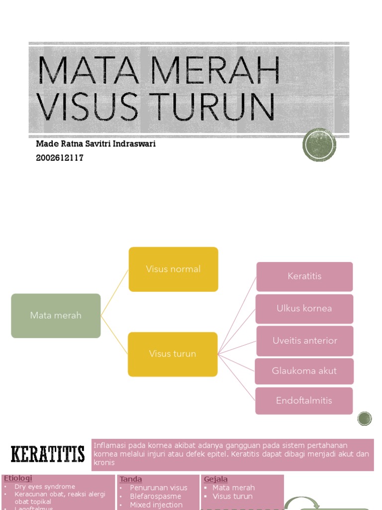 MATA MERAH Visus Turun | PDF