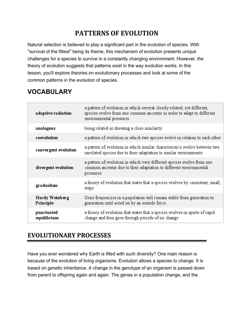 Biology 1 PATTERNS OF EVOLUTION 15 | PDF | Natural Selection | Evolution