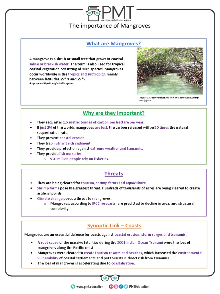 The Importance of Mangroves - Case Study | PDF