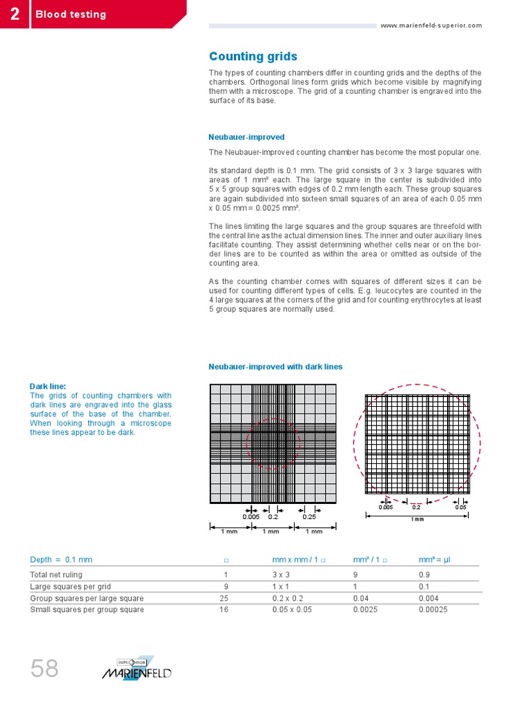 Counting Grids: Neubauer-Improved | PDF | Nature