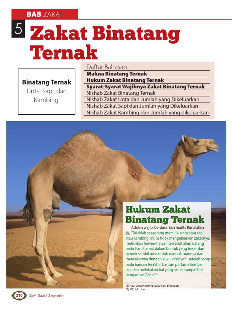 04 - 005 - Zakat Binatang Ternak | PDF