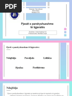 Folja KAM Dhe JAM | PDF