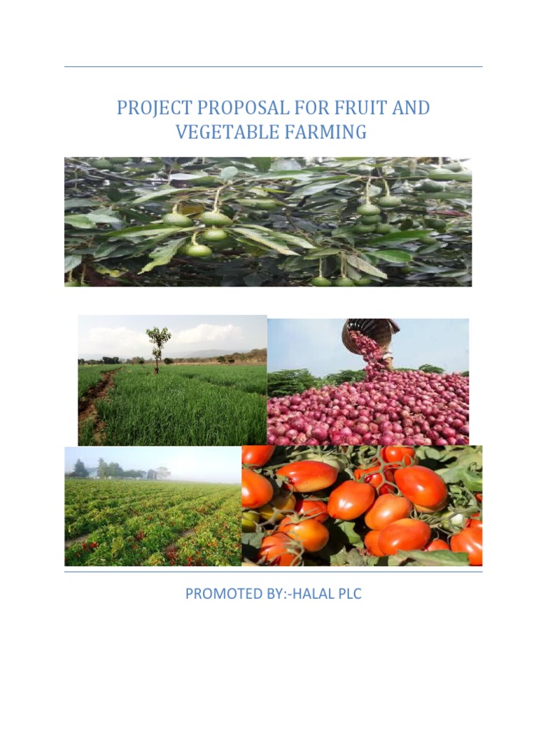Project Proposal For Fruit and Vegetable Farming: Promoted By:-Halal ...
