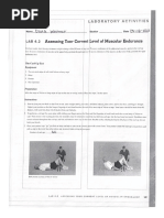 G4-Curl Up Test | PDF | Physical Fitness | Physical Therapy