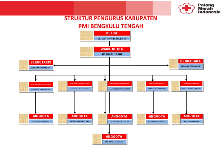 Struktur Pengurus Pmi | PDF