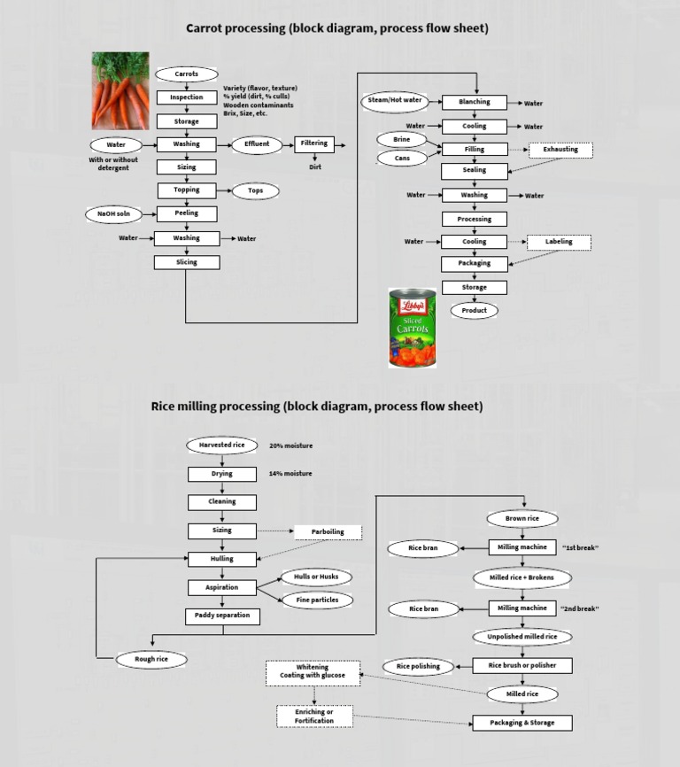 Process Flow Diagram of Carrot and Rice | PDF | Rice | Nature