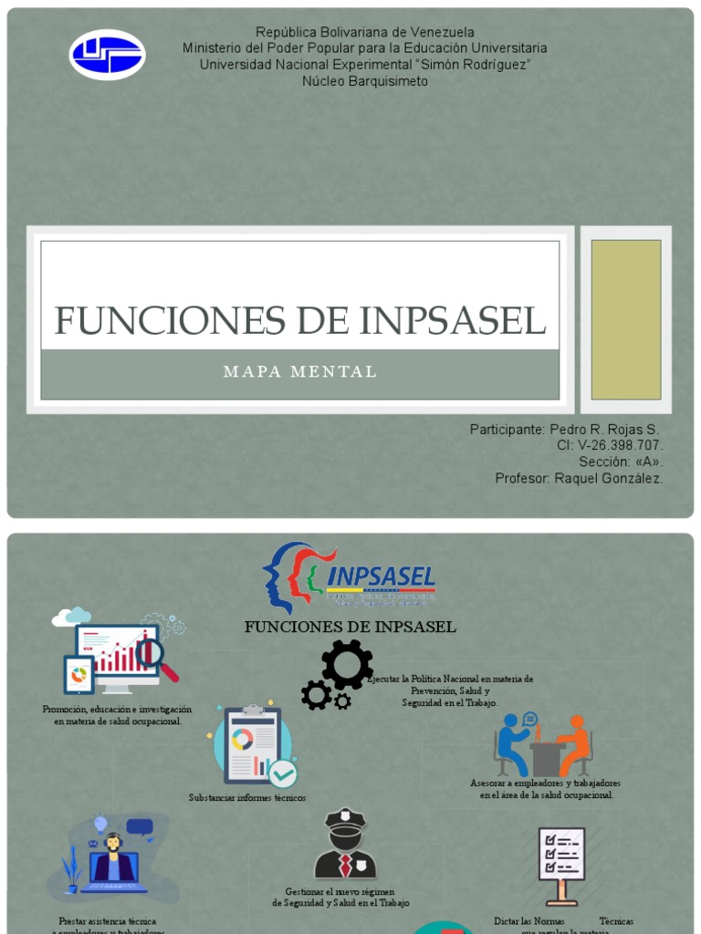 Funciones de Inpsasel | PDF