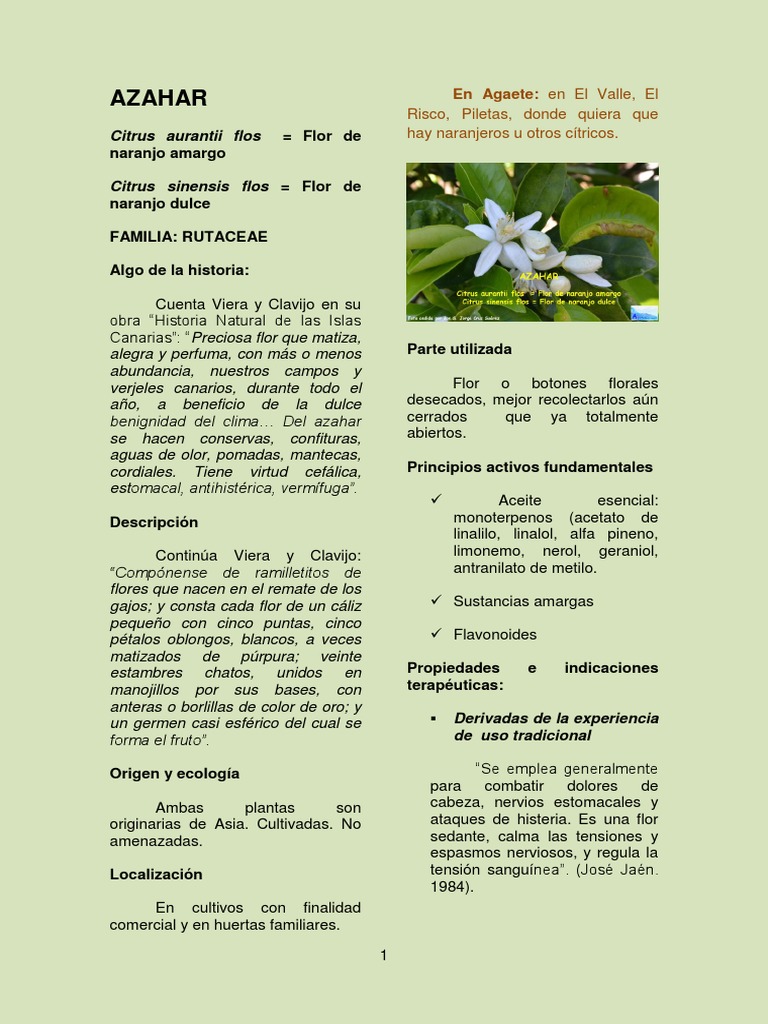 AZAHAR | PDF | Naturaleza