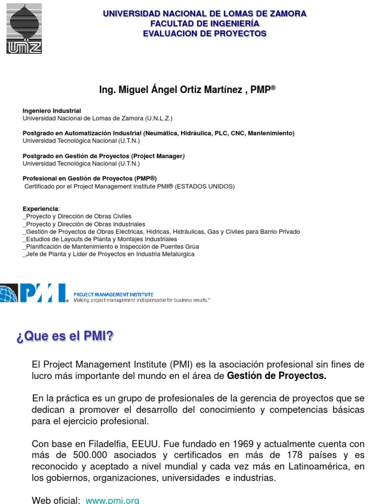 1 1 Que Es El Pmi Pdf Profesional En El Manejo De Proyectos