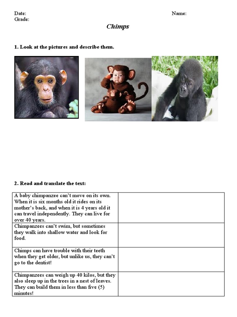 Chimps: 1. Look at The Pictures and Describe Them | PDF